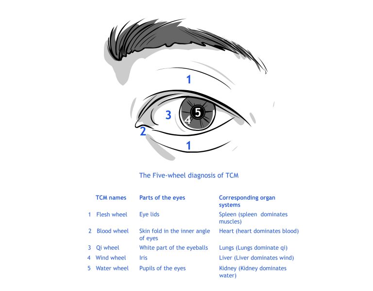 Chinese Medicine Eyes – Tips for Healthy Vision | Radiant Shenti
