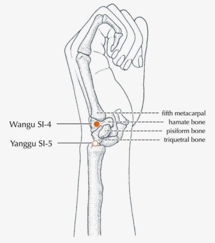 Effective Acupressure Points to Relieve Headaches Naturally | Radiant ...