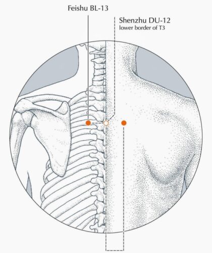 Natural Cough Remedies for Children in Chinese Medicine